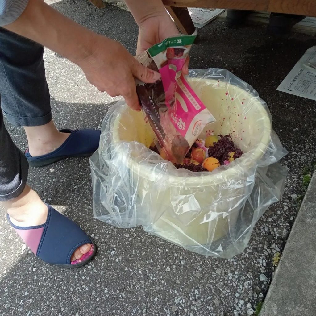 梅干しづくり体験 | NPO法人 CCV