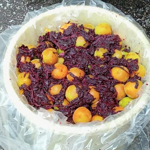 梅干しづくり体験 | NPO法人 CCV