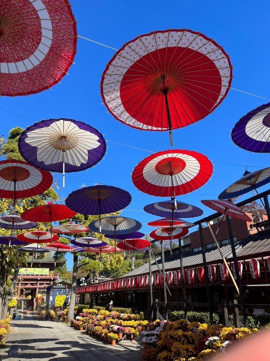 遠足（茨城県） | NPO法人 CCV