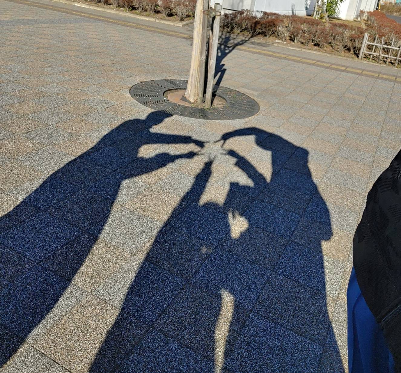 写真のワークショップ | NPO法人 CCV