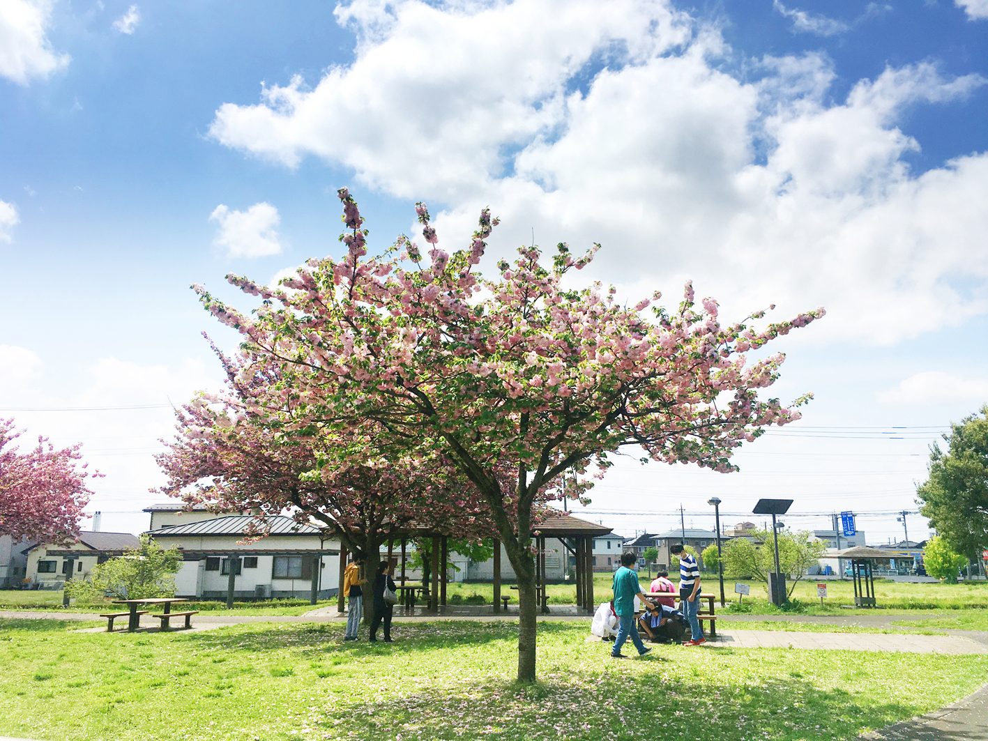 本日の写真部 | NPO法人 CCV