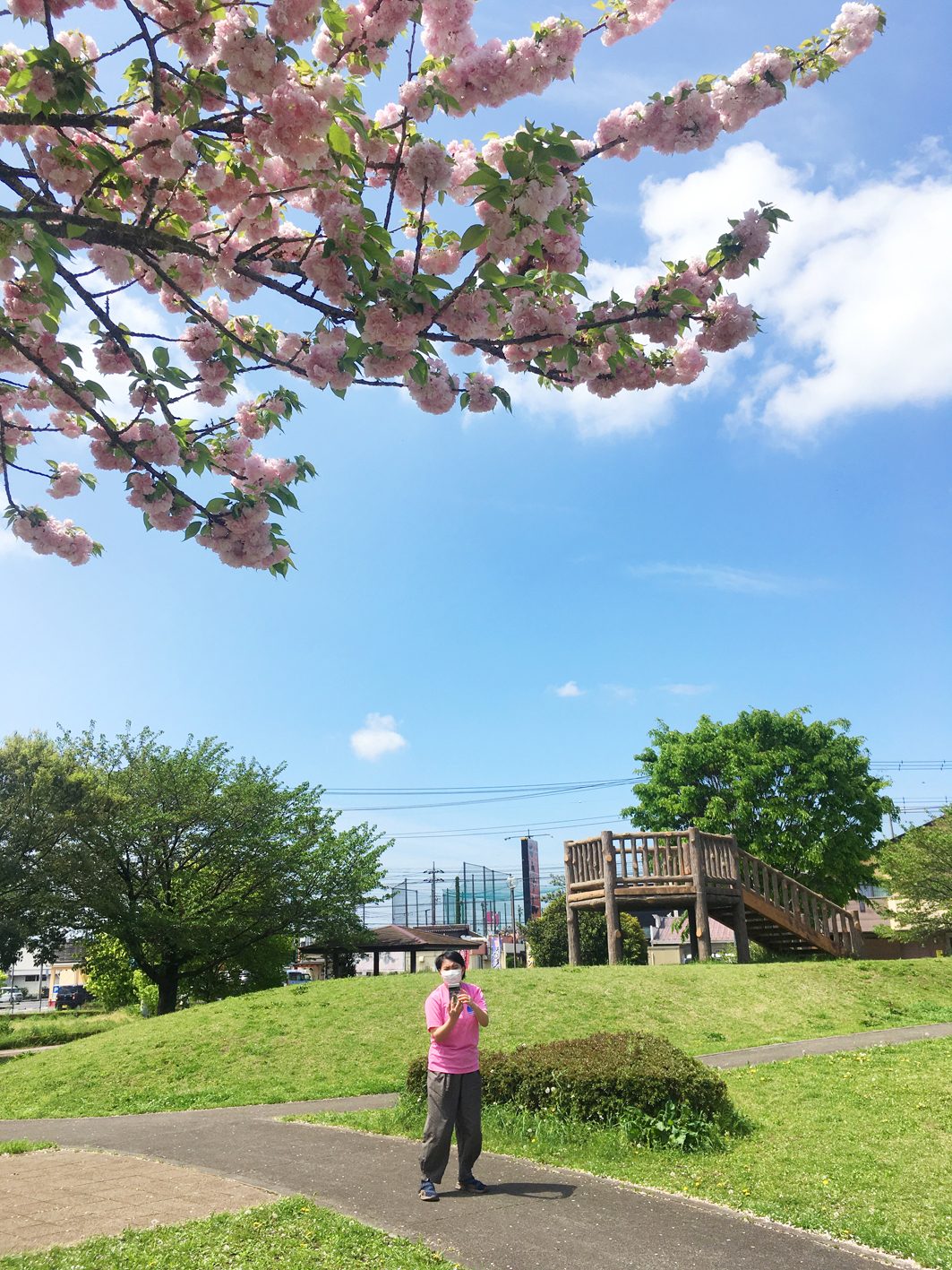 本日の写真部 | NPO法人 CCV