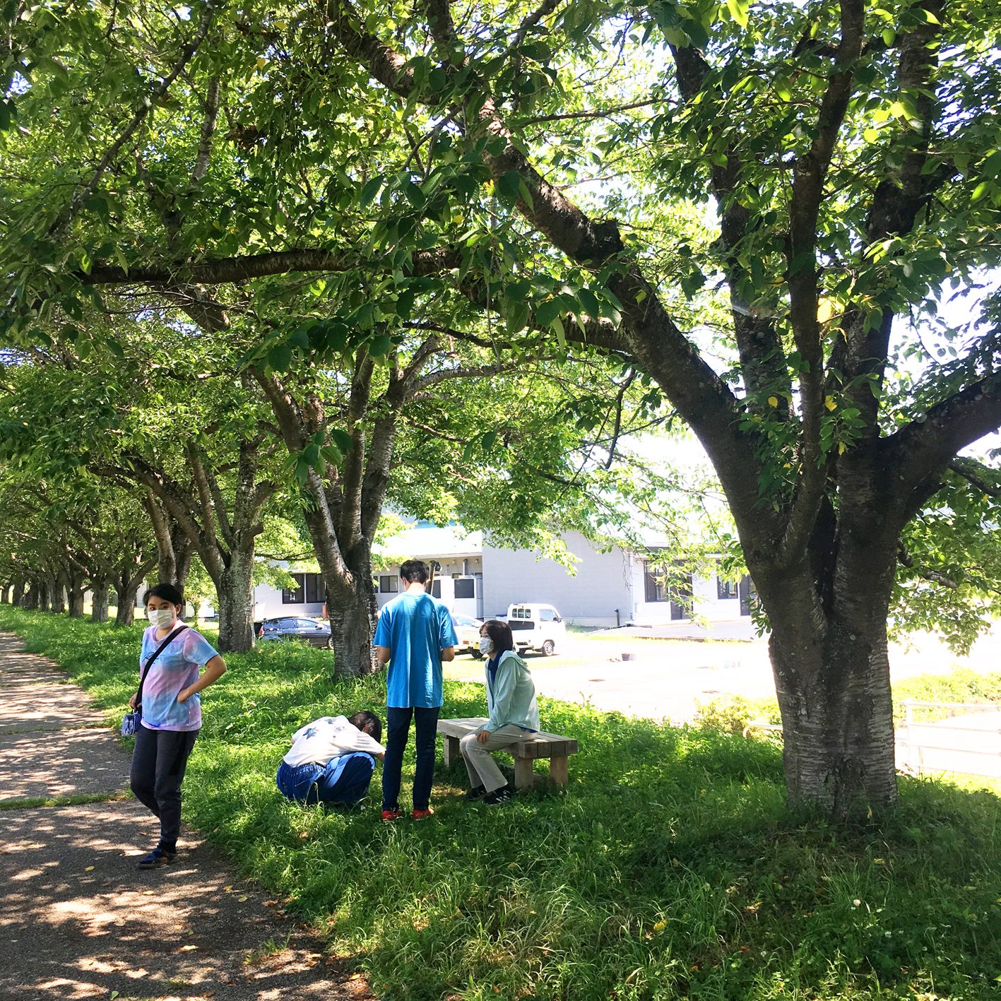 NPO法人 CCV｜不登校・引きこもり支援 就労支援