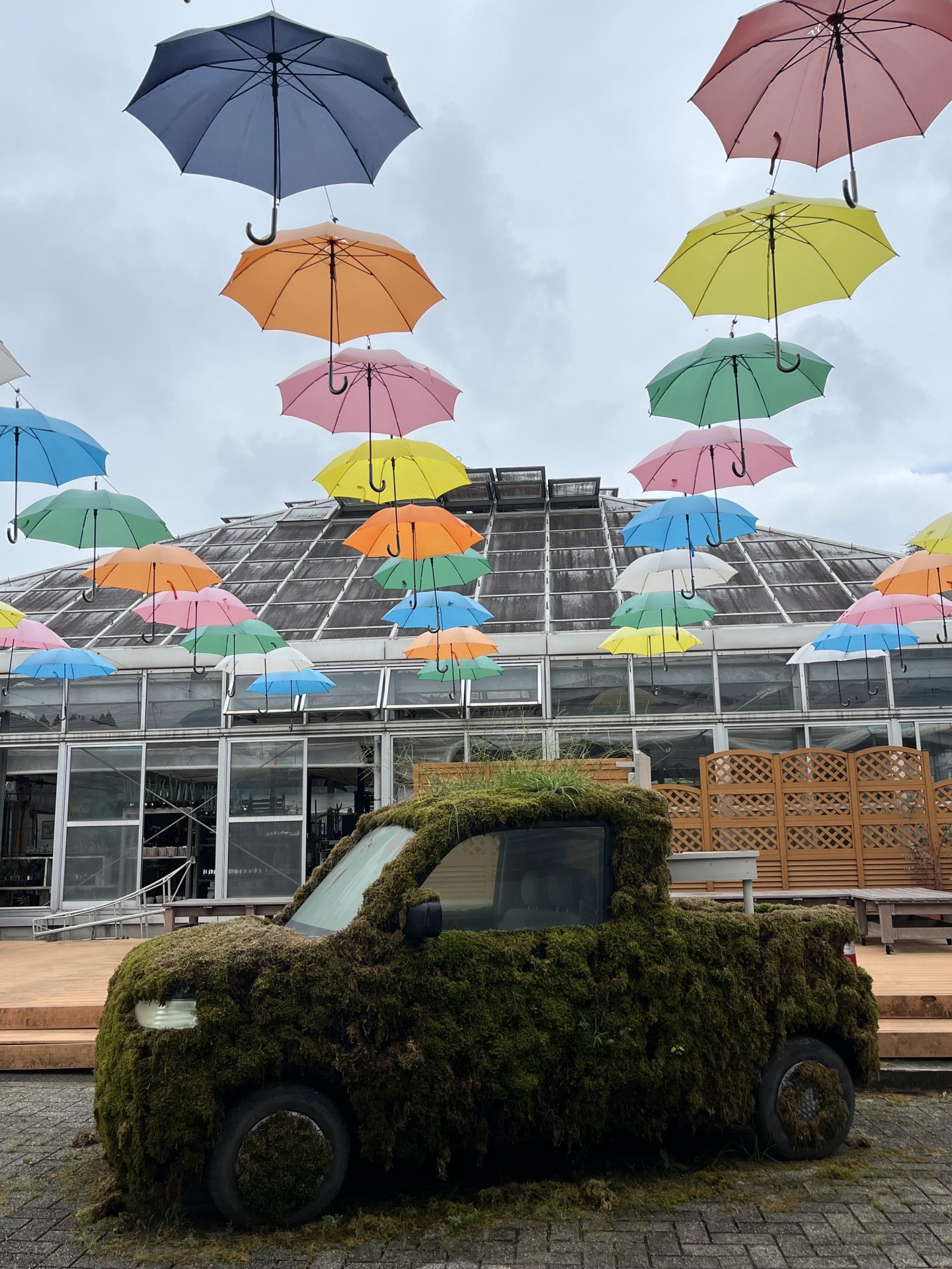 写真部で花木センターに行きました。 | NPO法人 CCV